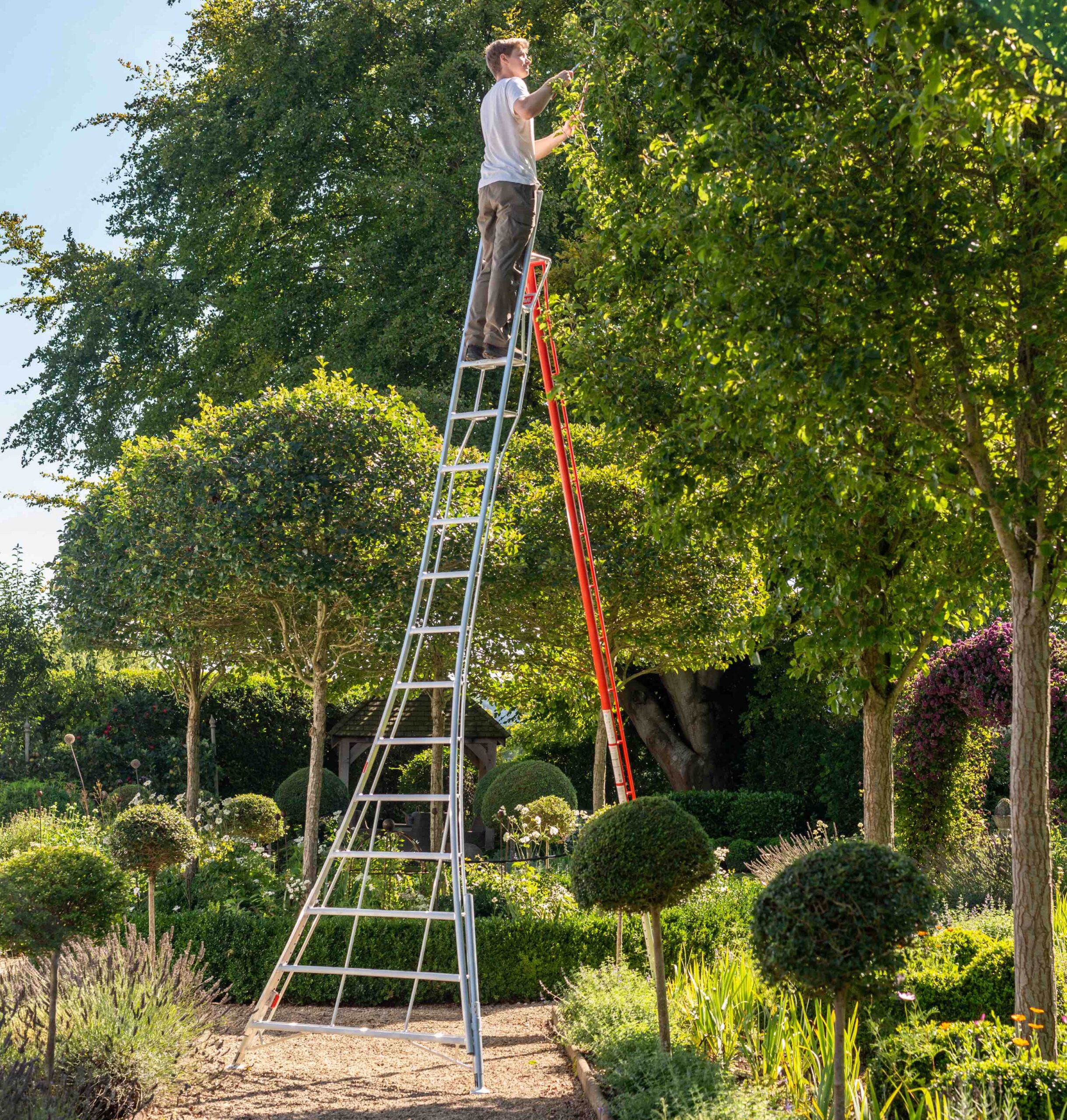 Sales Are On The Rise At Henchman - A Family-owned Ladder Firm Loved By ...